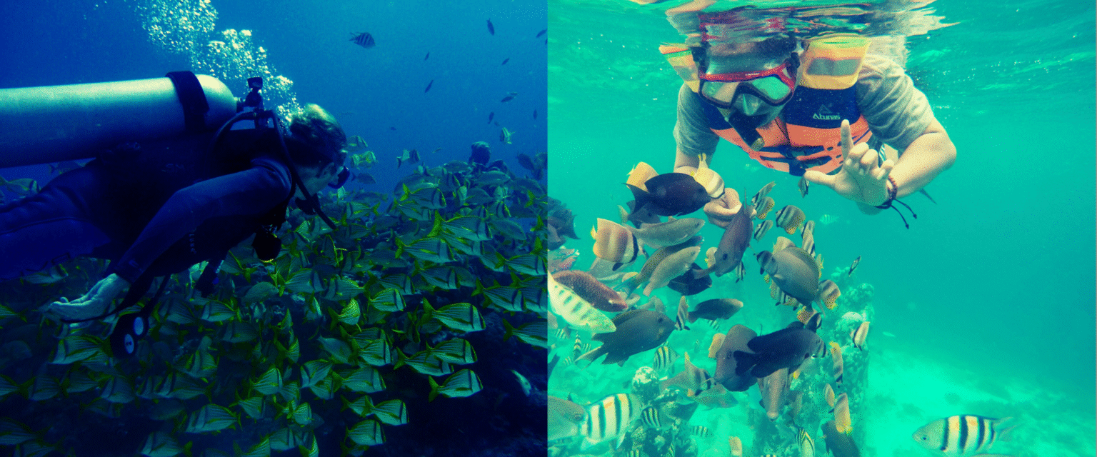 WetSet – Underwater Adventures in Puerto Morelos